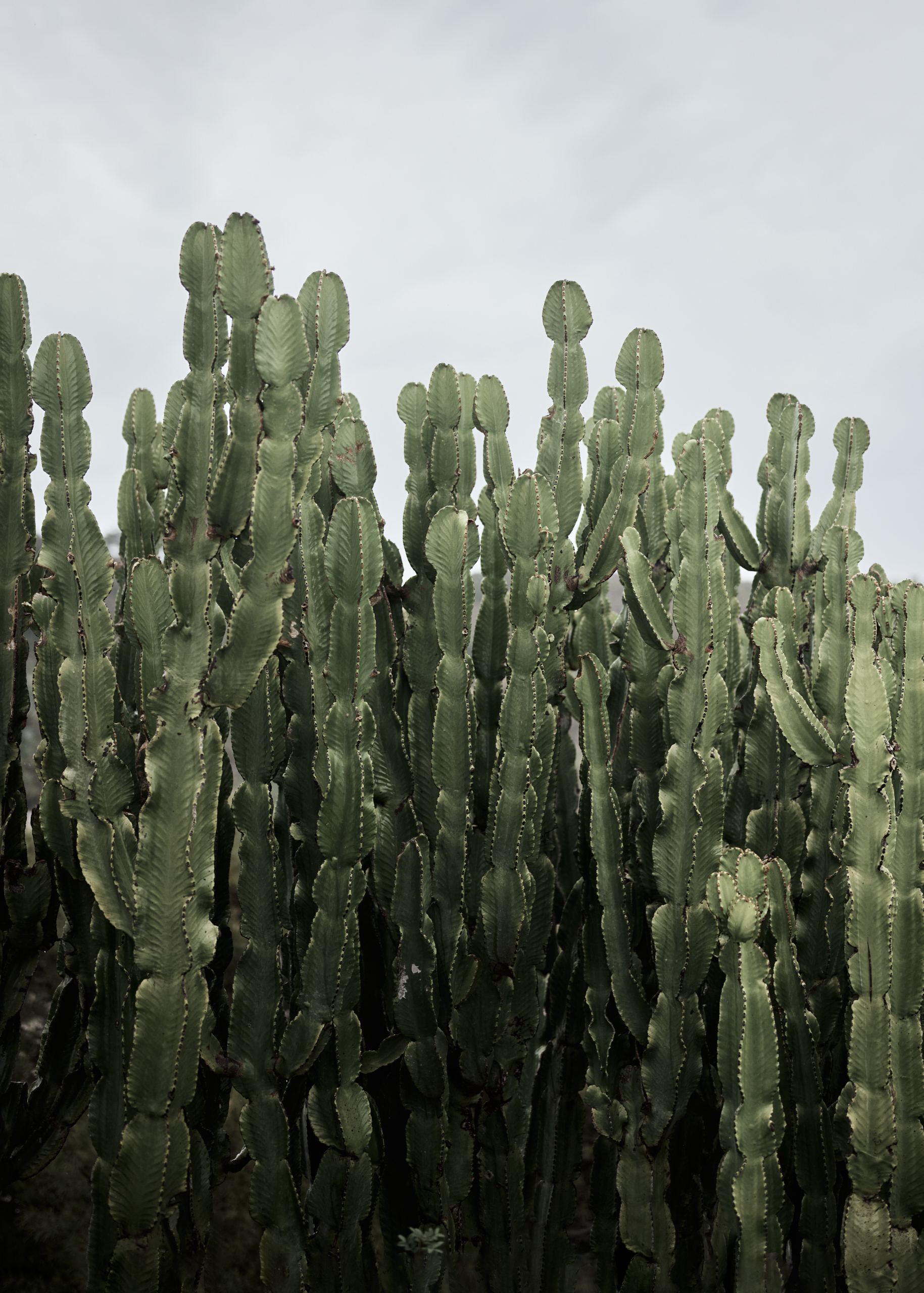 David Charbit - Travel