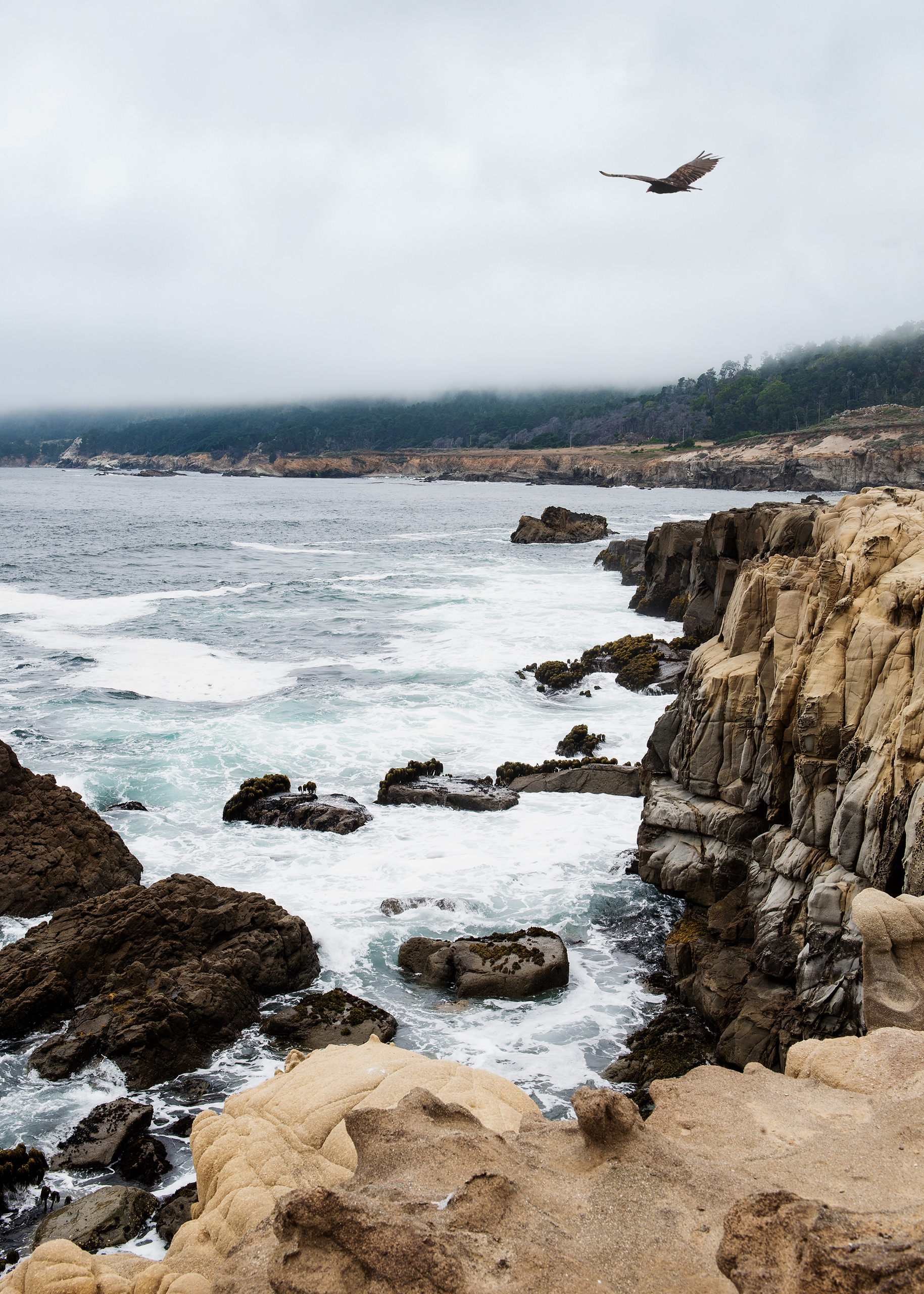 David Charbit - Photographer